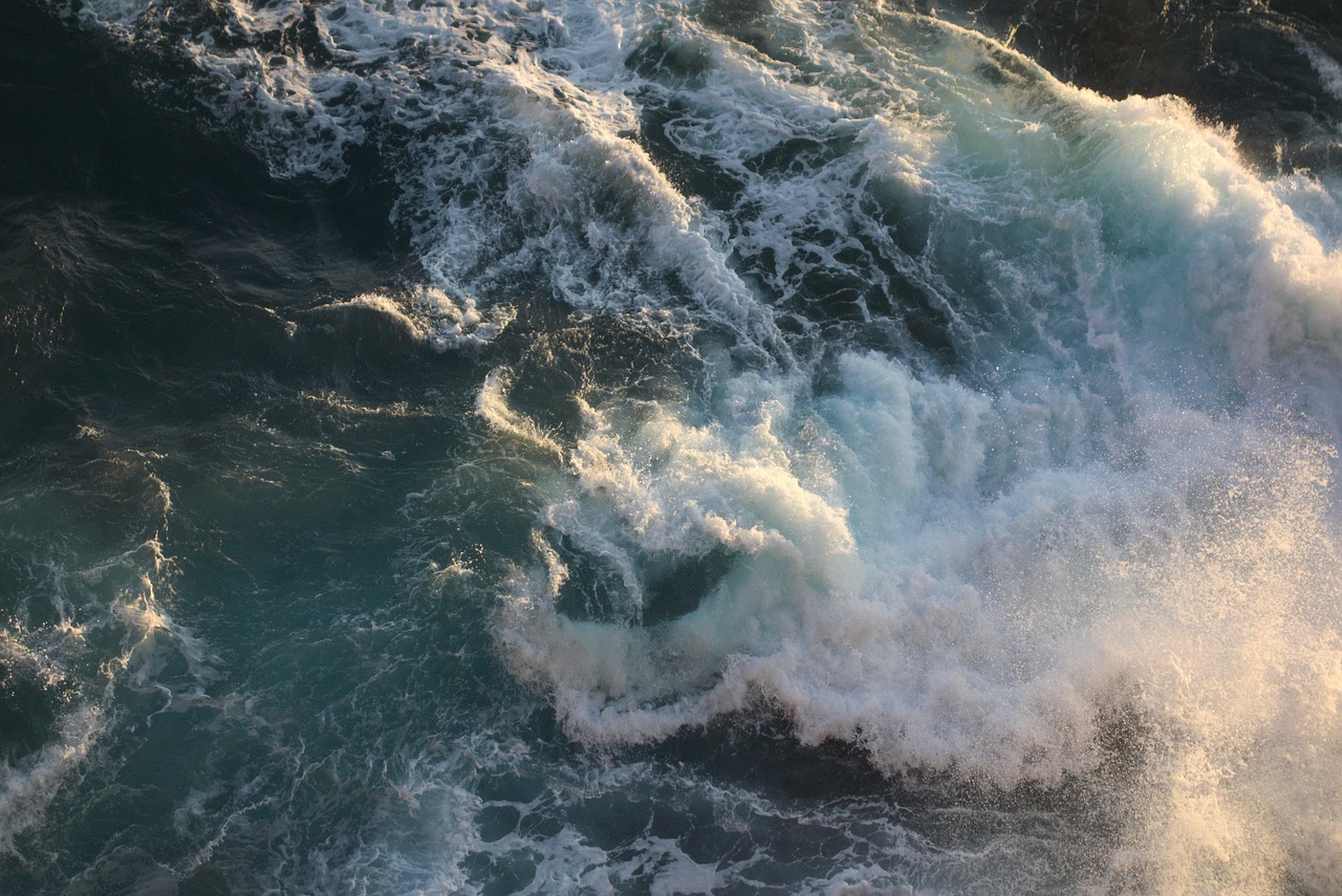 RiskImmune - GRC, TPRM & ERM Platform | Governance, Risk & Compliance ...